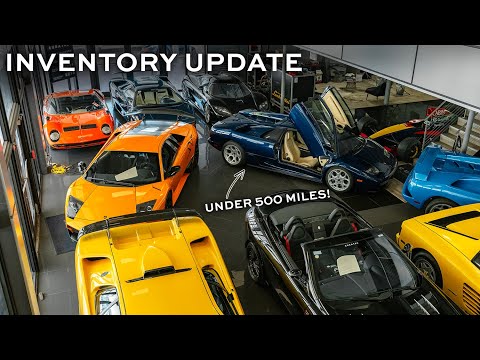 The Showroom is Full of Blue Chip Lamborghinis!