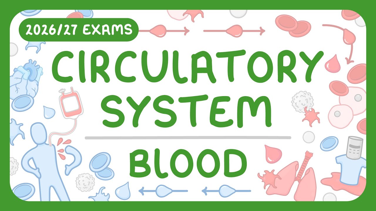 GCSE Biology - The Circulatory System | The Blood (2026/27 exams)