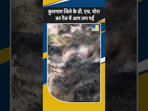 Shorts: Jammu Kashmir News: Kulgam जिले के D.H. पोरा वन रेंज में आग लग गई।Fire