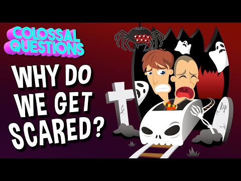 Why Do We Get Scared? | COLOSSAL QUESTIONS