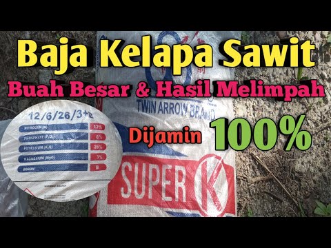 Review Baja / Pupuk Kelapa Sawit Untuk Pokok Tinggi || Petani Malaysia