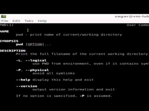 pwd command in Linux Shell terminal
