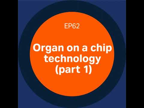 Discovery Matters | Ep62. Organ on a chip: Part 1