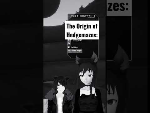 "Why were hedge mazes created?"