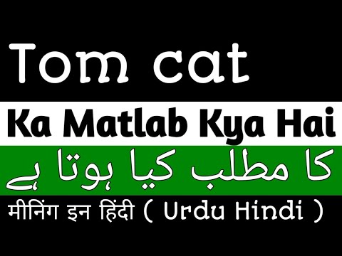 Tom Cat Meaning In Urdu | Tom Cat Meaning In Hindi | Tom Cat Ka Matlab Kya Hai | Tom Cat Ka Meaning