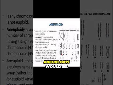 What is Aneuploidy?