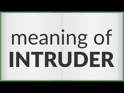Intruder | meaning of Intruder
