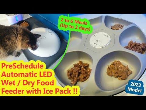Pet Gadget | iPettie 6 Meal Automatic Dry/Wet Food Feeder for Cats & Dogs - Automatic Pet Feeder