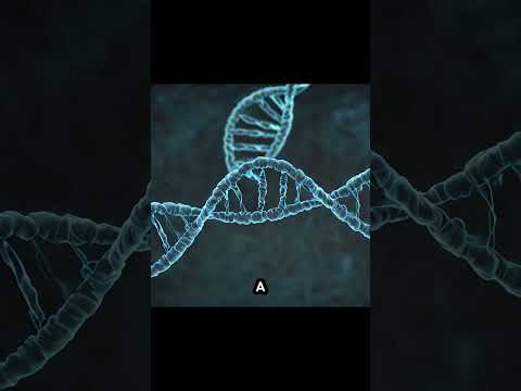 Part 3 Can We Really Live Forever The Future of Anti Aging Tech 2025–2050 Predictions