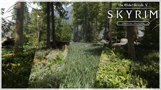 Skyrim's Best Grass Mods - A Comparison at Skyrim Special Edition Nexus ...