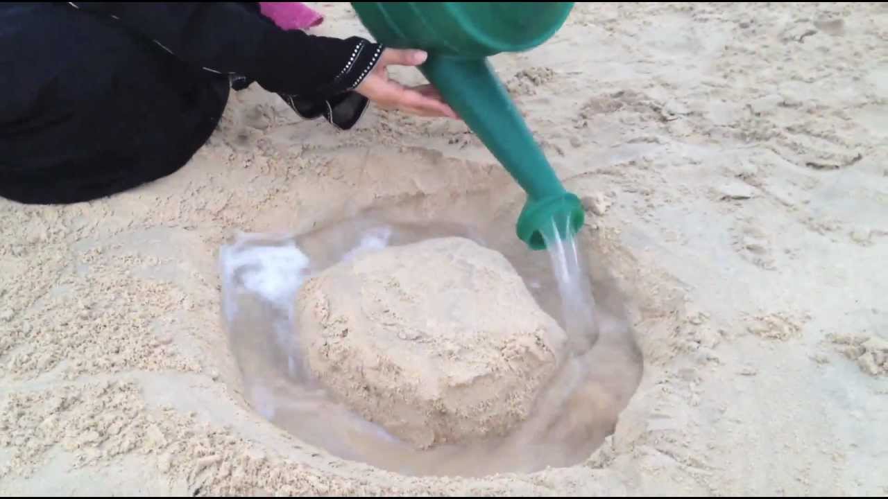 Different Land Forms - Geography - Fun Activities for Kids - Sparkles Online School