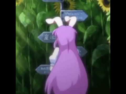Reisen Spin