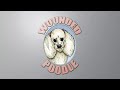 Wounded Poodle Watch HD Mp4 Video Download Free