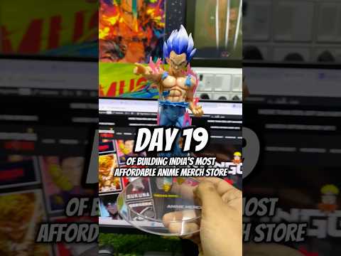 Building India’s 🇮🇳 most Affordable anime merch store “Day 19”