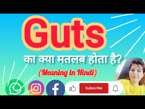 Guts meaning in Hindi Guts ko hindi m kya khte h Guts ka matlb hindi m kya hota h