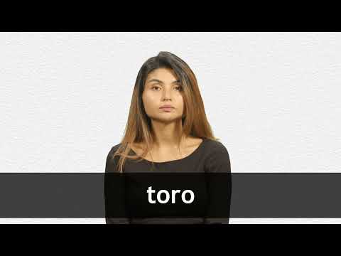 Traducción en inglés de “TORO” | Collins Diccionario español-inglés