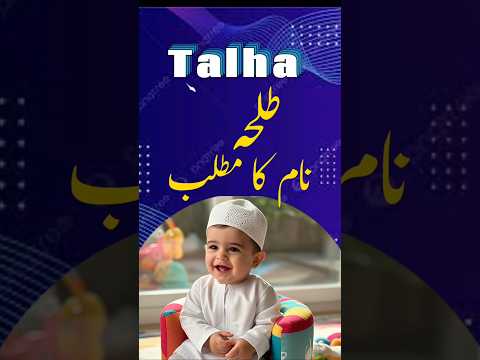 Talha Name Meaning In Urdu | Talha Naam Ka Matlab | #shorts #shortvideo #shortsfeed