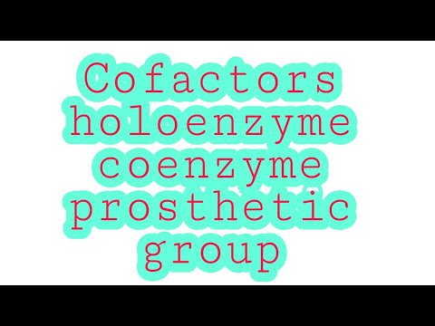 Cofactors in Hindi/urdu #COFACTORS #SYEDBIOLOGY