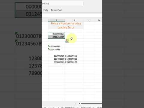 Show Leading zeros using formatting in numbers