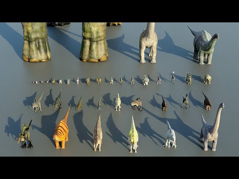 Dinosaur Size Comparison | 3d Animation Comparison | Real Scale ...