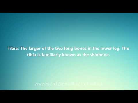 Tibia - Medical Meaning and Pronunciation