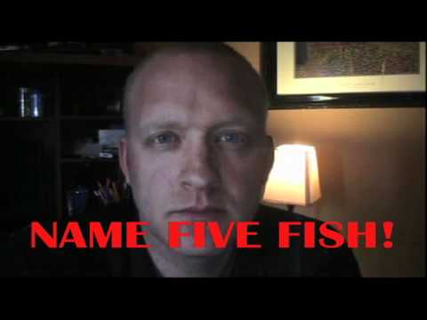Company Name Generator - Name5Fish Explained
