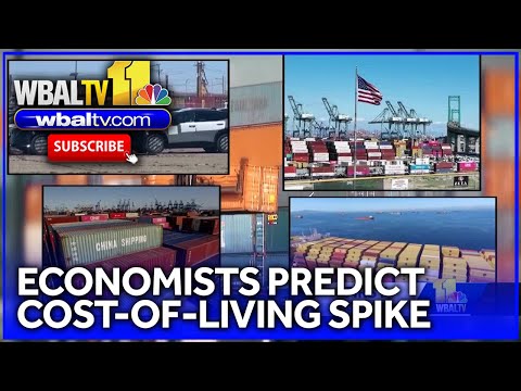 Economist weighs in on President Trump's reciprocal tariffs
