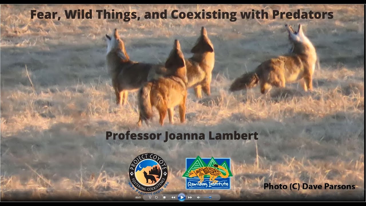 Science & Ethics - Project Coyote