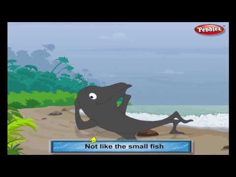 Whale Rhyme | Animal Rhymes for Children | Nursery Rhymes for Kids | Most Popular Rhymes HD