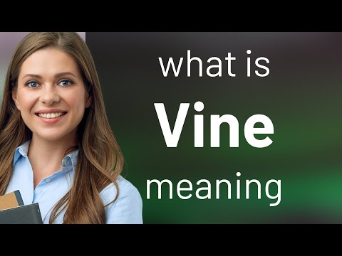 Vine — VINE definition