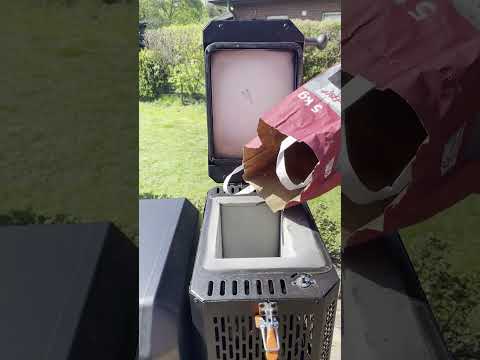 Ribs made on Masterbuilt Gravity 800 #shorts