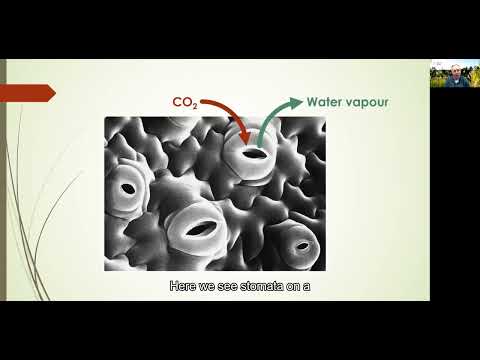 Goldschmidt2021 Plenary Lecture by Graham Farquhar