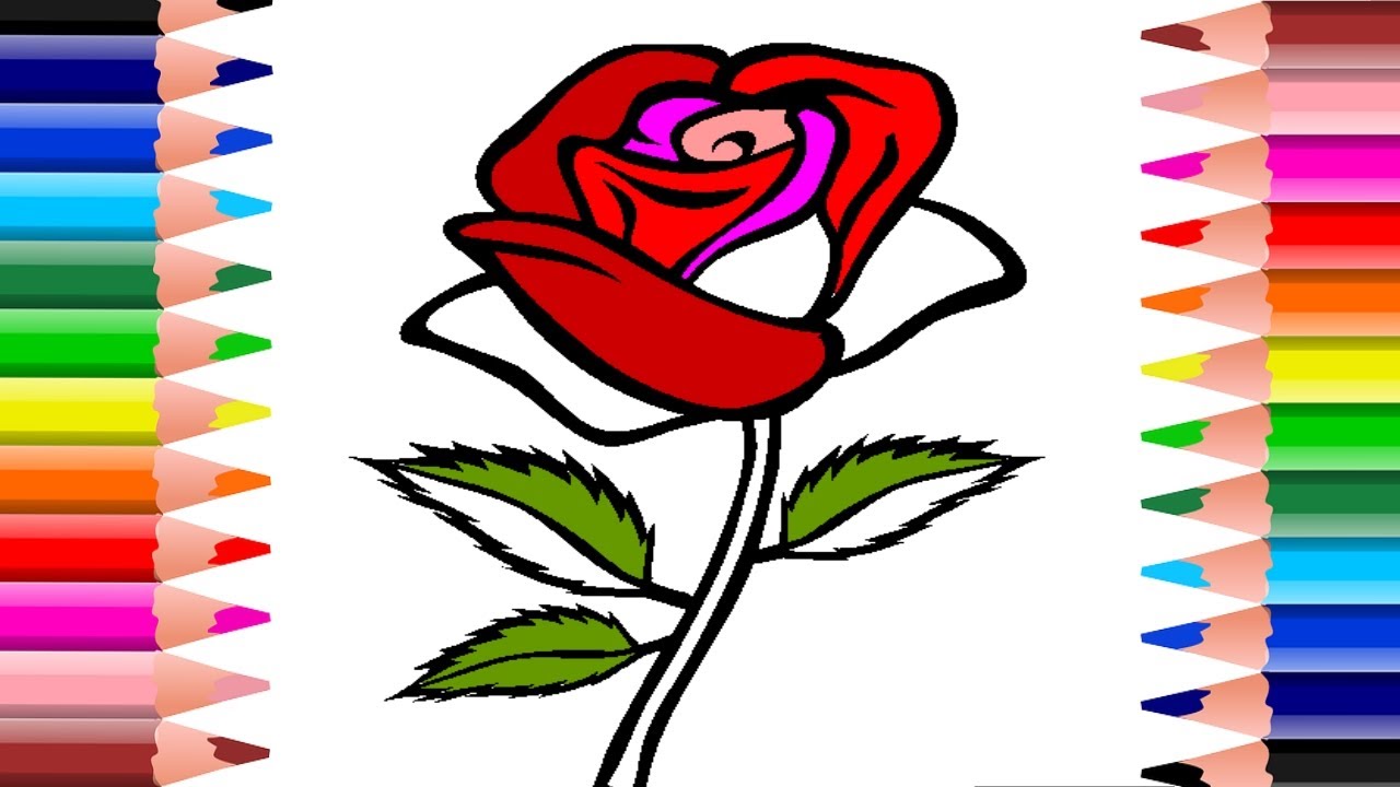 Rose Flower Coloring Pages 💐 Coloring Book Rose Flower 🌹 Colouring Pages for Kids