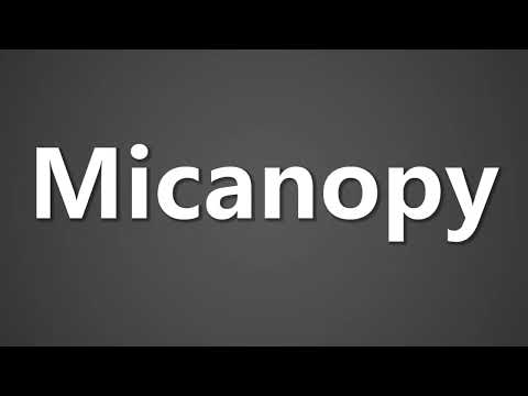 How To Pronounce Micanopy