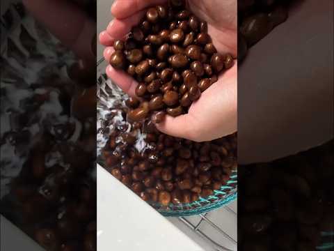 Making Loquat Seed Liqueur (Nespolino)