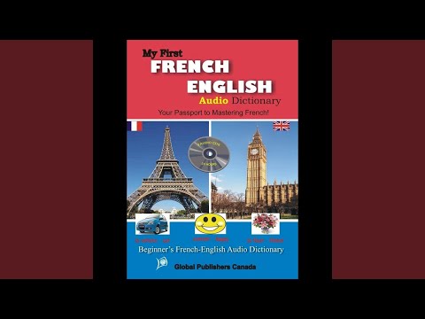 Verbs / Actions