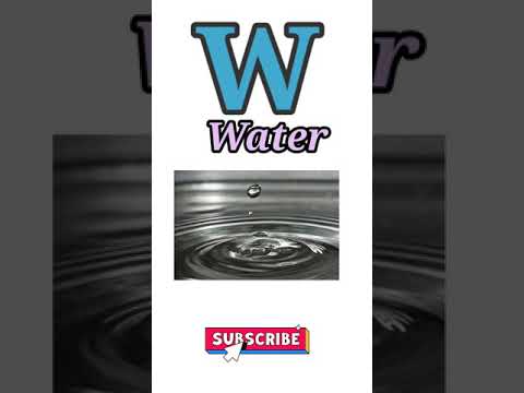 W Letter Words | W Letter | Letter W | Words starting with letter W | Alphabet | 15 W words
