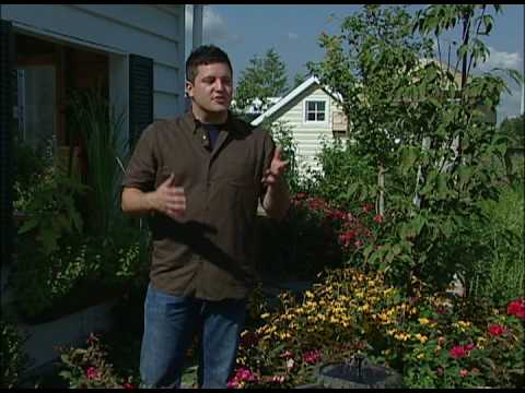Certified Wildlife Habitats - Certifying Your Yard (#7)