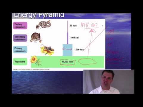 Lecture11popcommYT