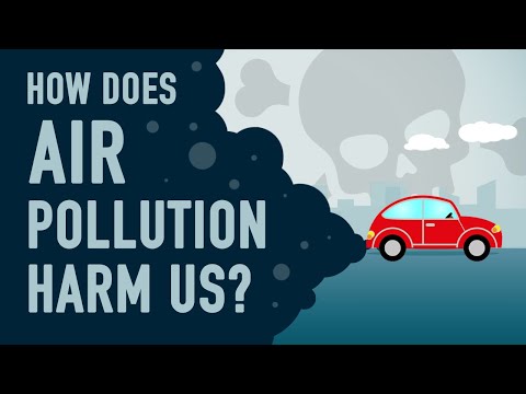 What is Air Pollution and How Does it Harm Us?