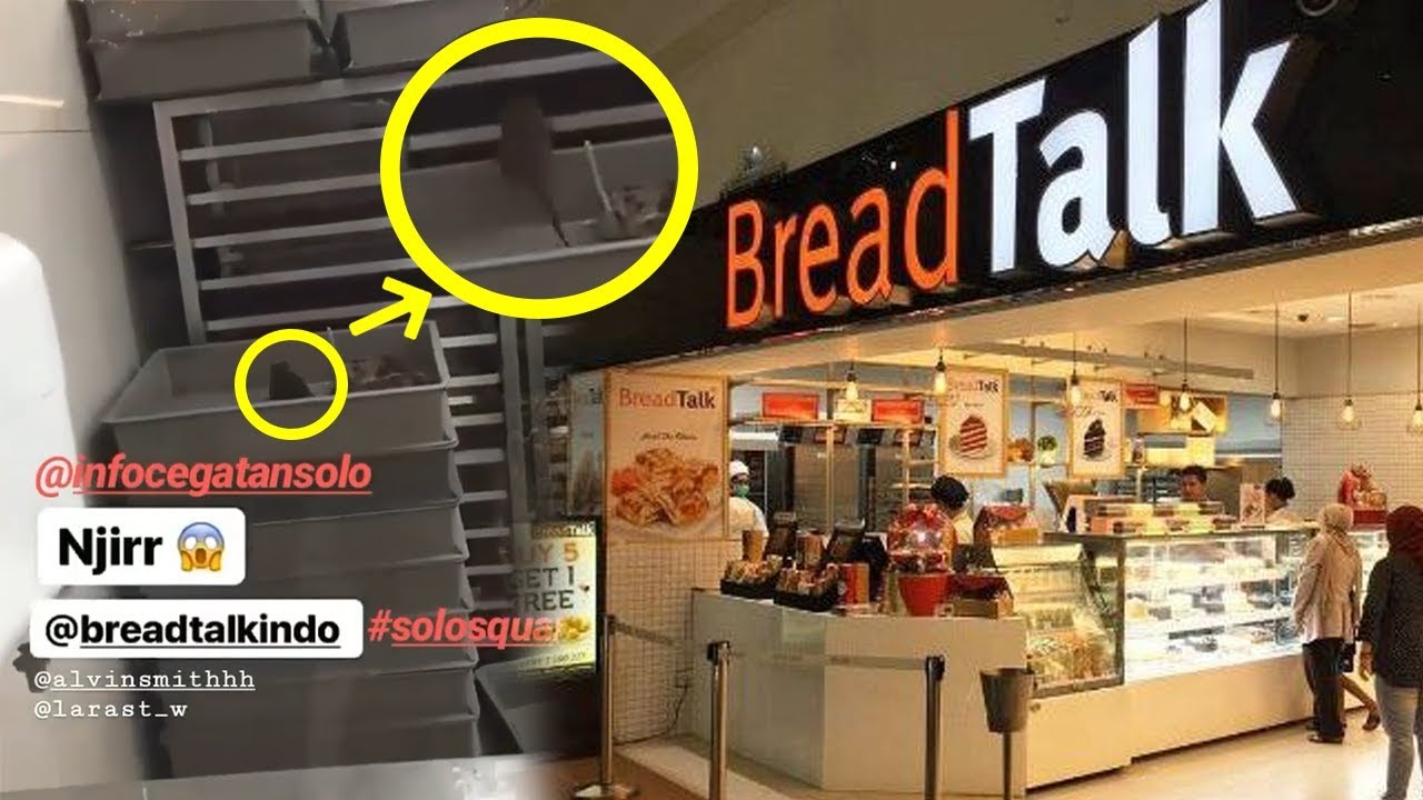 Terjadi Lagi! Video Tikus di Dapur Roti Toko Breadtalk Viral, Terjadi ...