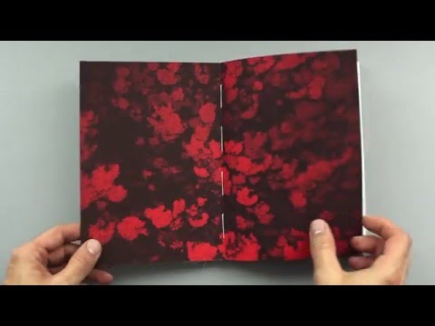 Miyuki Okuyama - Dear Japanese