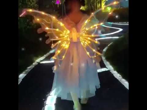 Enchant Wings 20 The Fairy Wings EnchantWings 1
