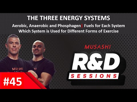 Episode #45: The Three Energy Systems