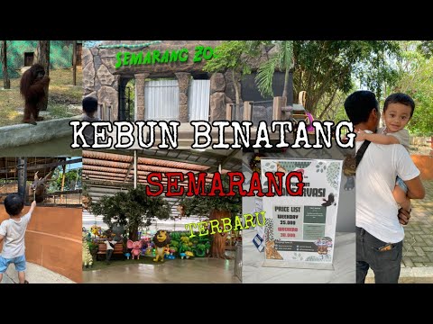 Kebun Binatang SEMARANG ZOO tempat wisata bersama keluarga