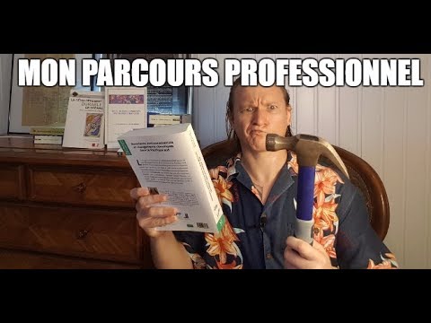 Mon parcours professionnel