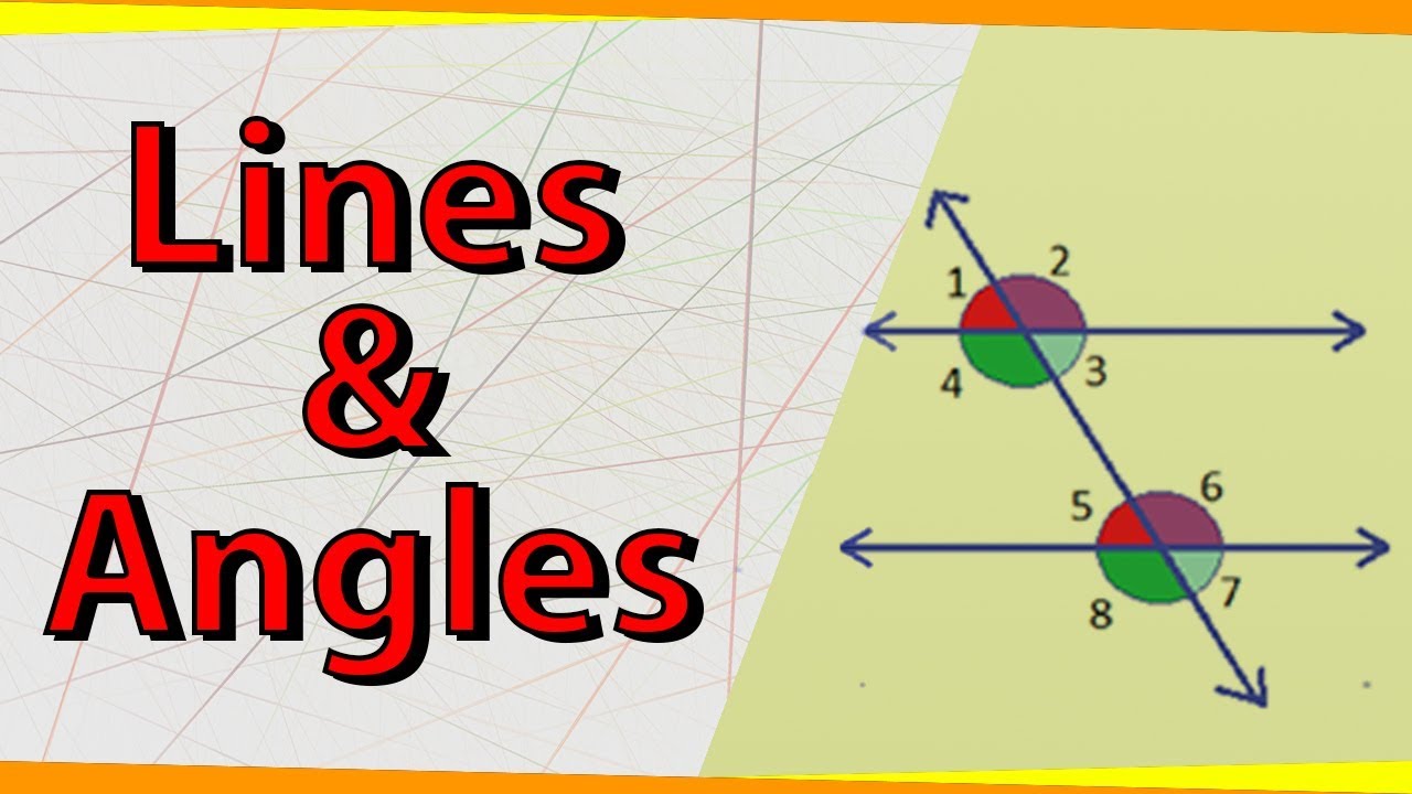Lines and Angles | Geometry | Math | Letstute