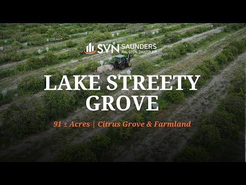 Florida Citrus Grove For Sale | Lake Streety Grove | 90.89 ± Acres | Frostproof, FL