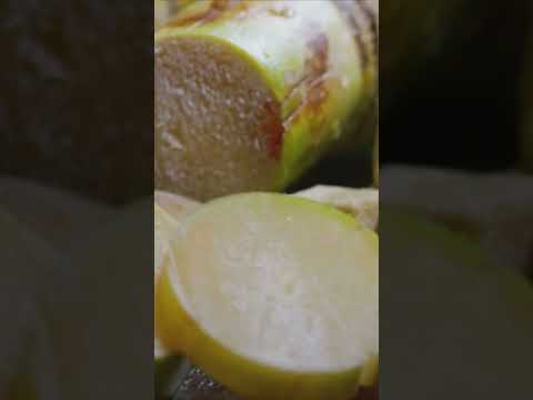 Sugar Beet vs Sugar Cane Sweet Showdown #sugarcane #sugarbeet #sugar #sugarshowdown