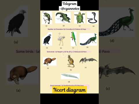 All NCERT diagrams Biology for neet 🌿 #diagram